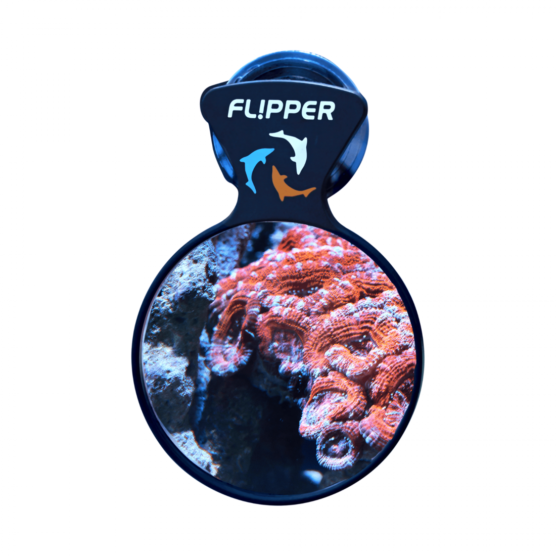 Flipper - DeepSee Viewer 4''